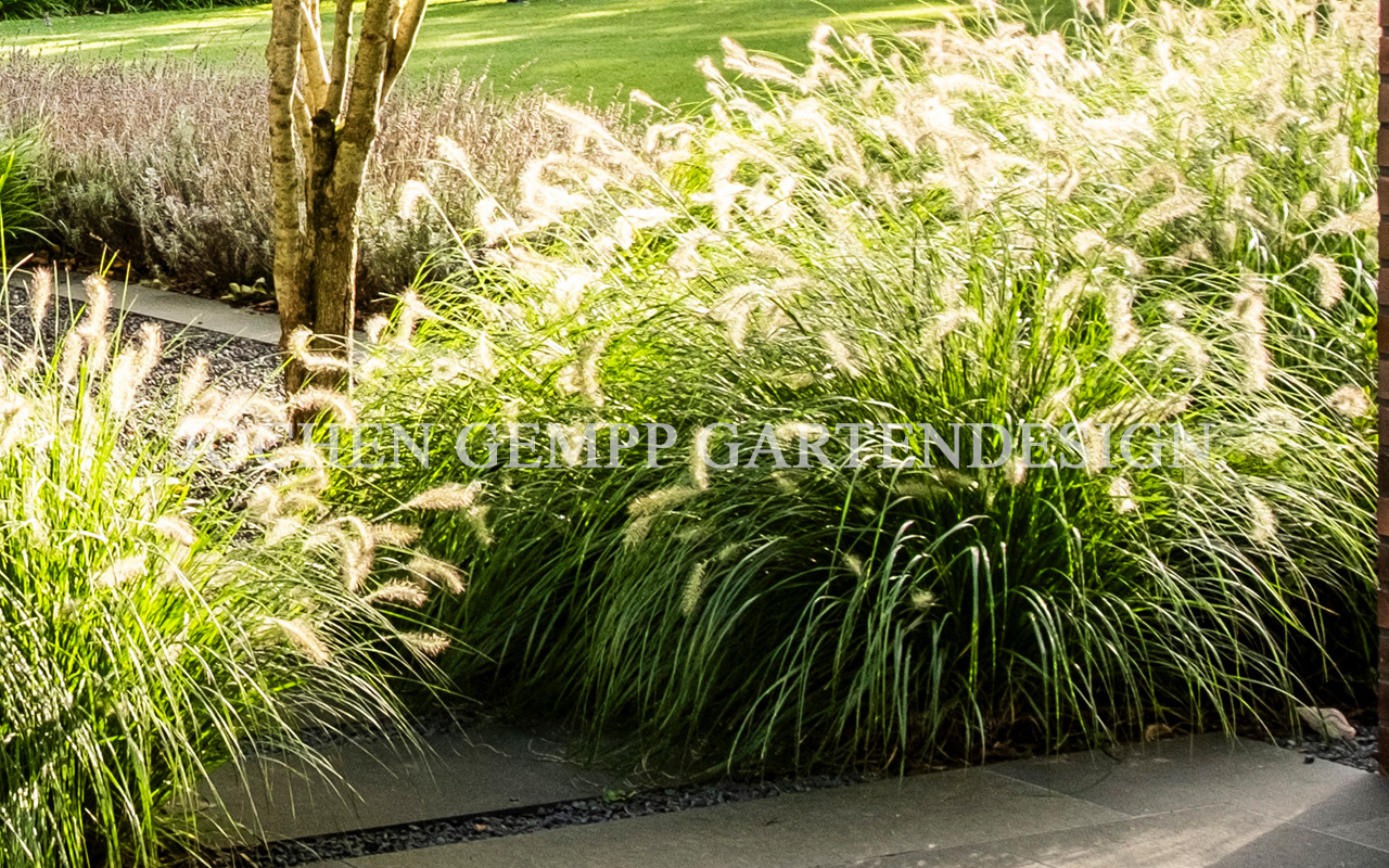 Gartenbau Landschaftsbau Nürnberg | Jochen Gempp Gartendesign